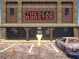 The Dead Rooster / countrytown_business_13